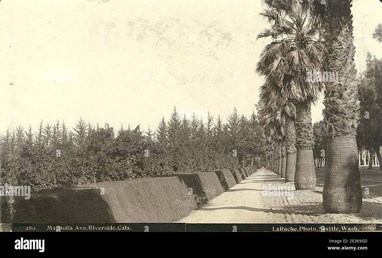 Magnolia ave hi-res stock photography and images - Alamy