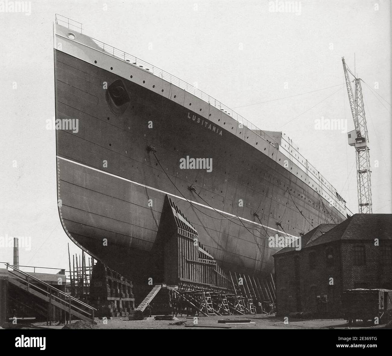 Lusitanias hi-res stock photography and images - Alamy