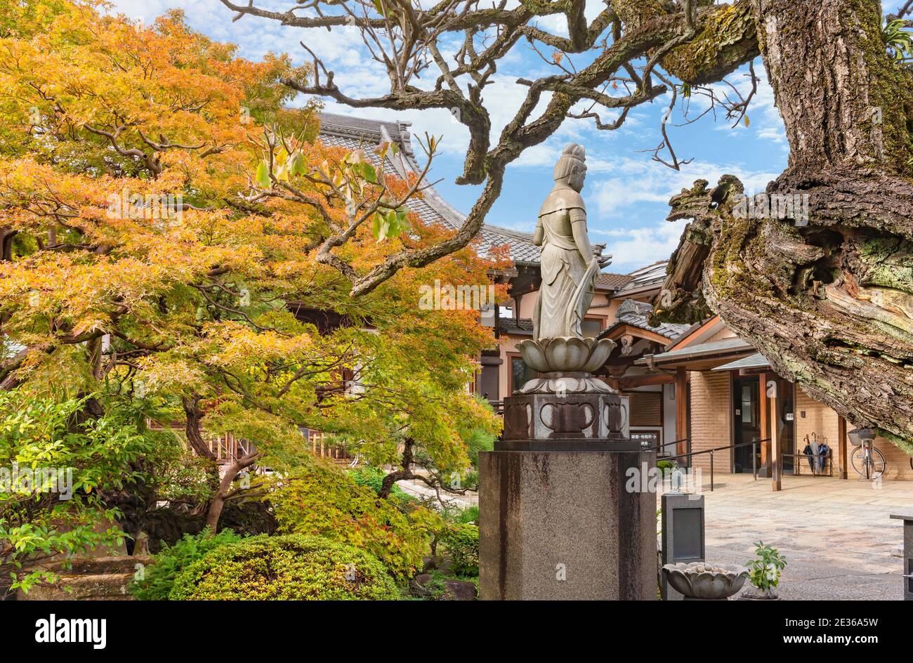 tokyo, japan - november 10 2020: Statue of kannon bodhisattva deity of ...