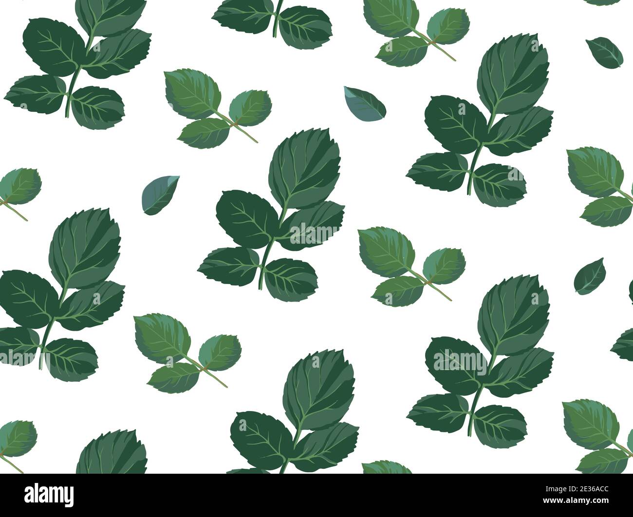Rose leaves with thorns seamless pattern vector Stock Vector Image ...