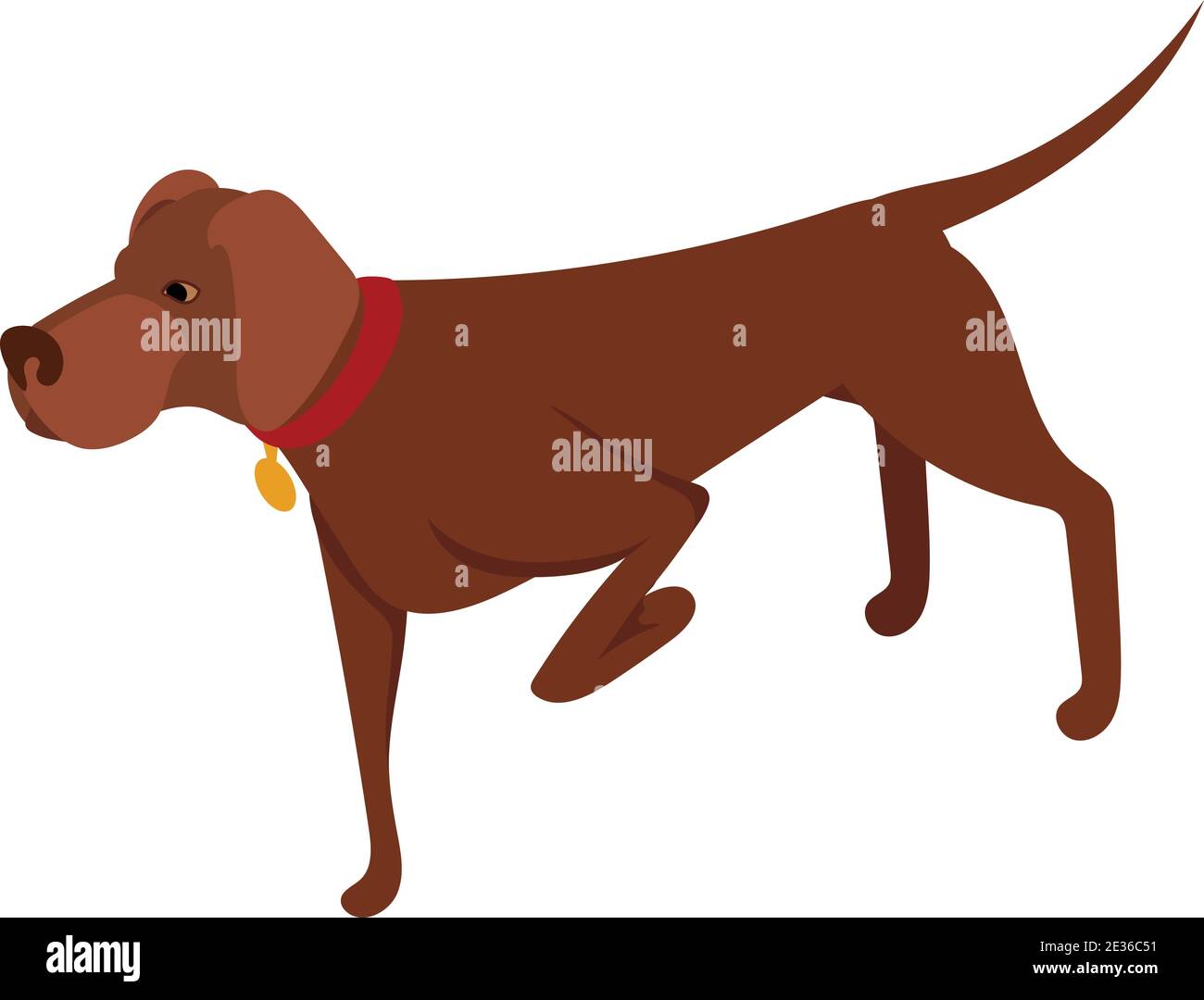 Hunting dog icon. Isometric of hunting dog vector icon for web design ...