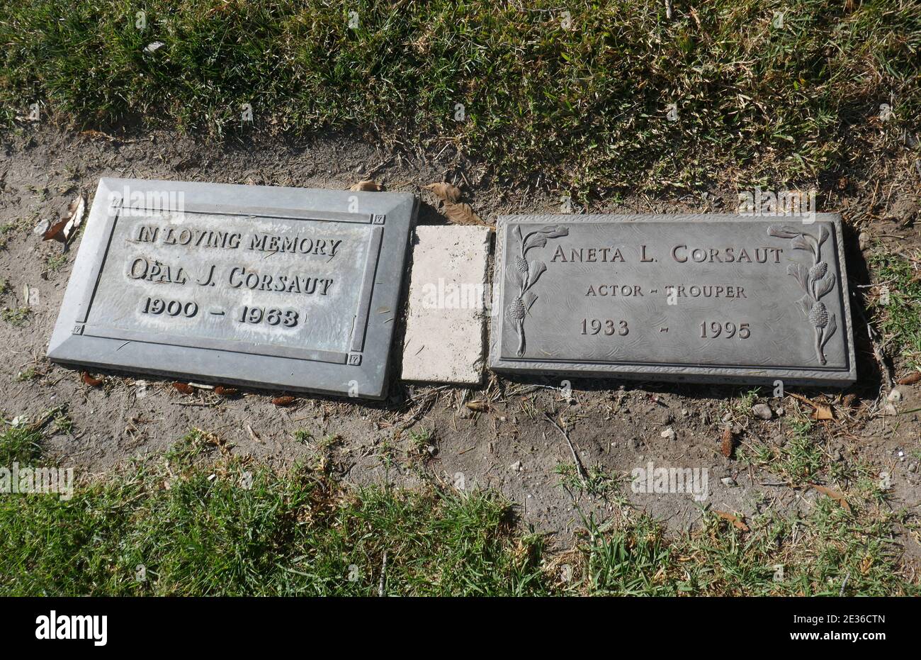 Aneta corsaut hi-res stock photography and images - Alamy