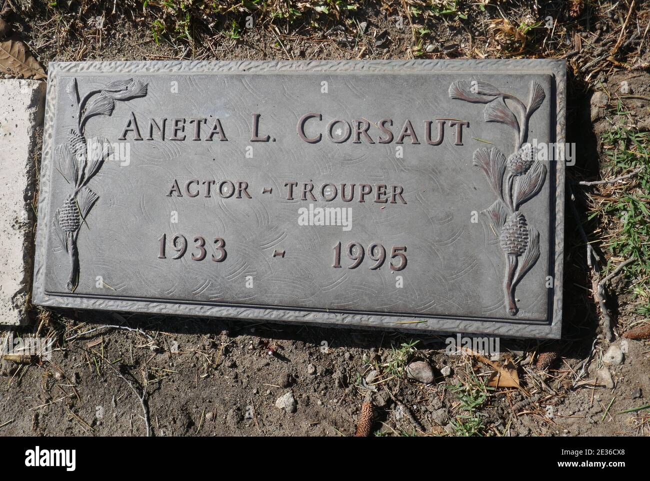 Aneta corsaut hi-res stock photography and images - Alamy