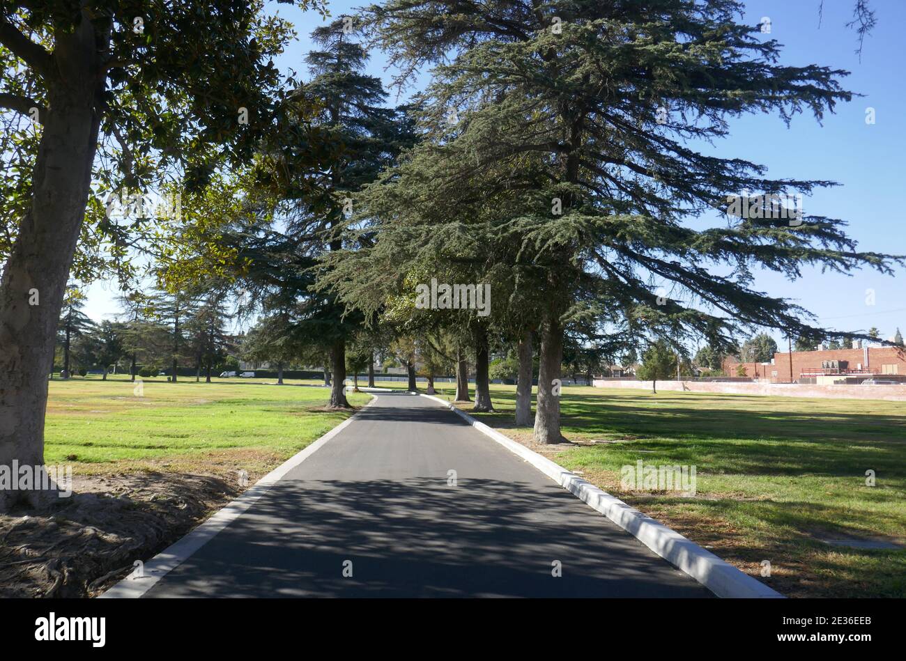 North Hollywood, California, USA 15th January 2021 A general view of ...