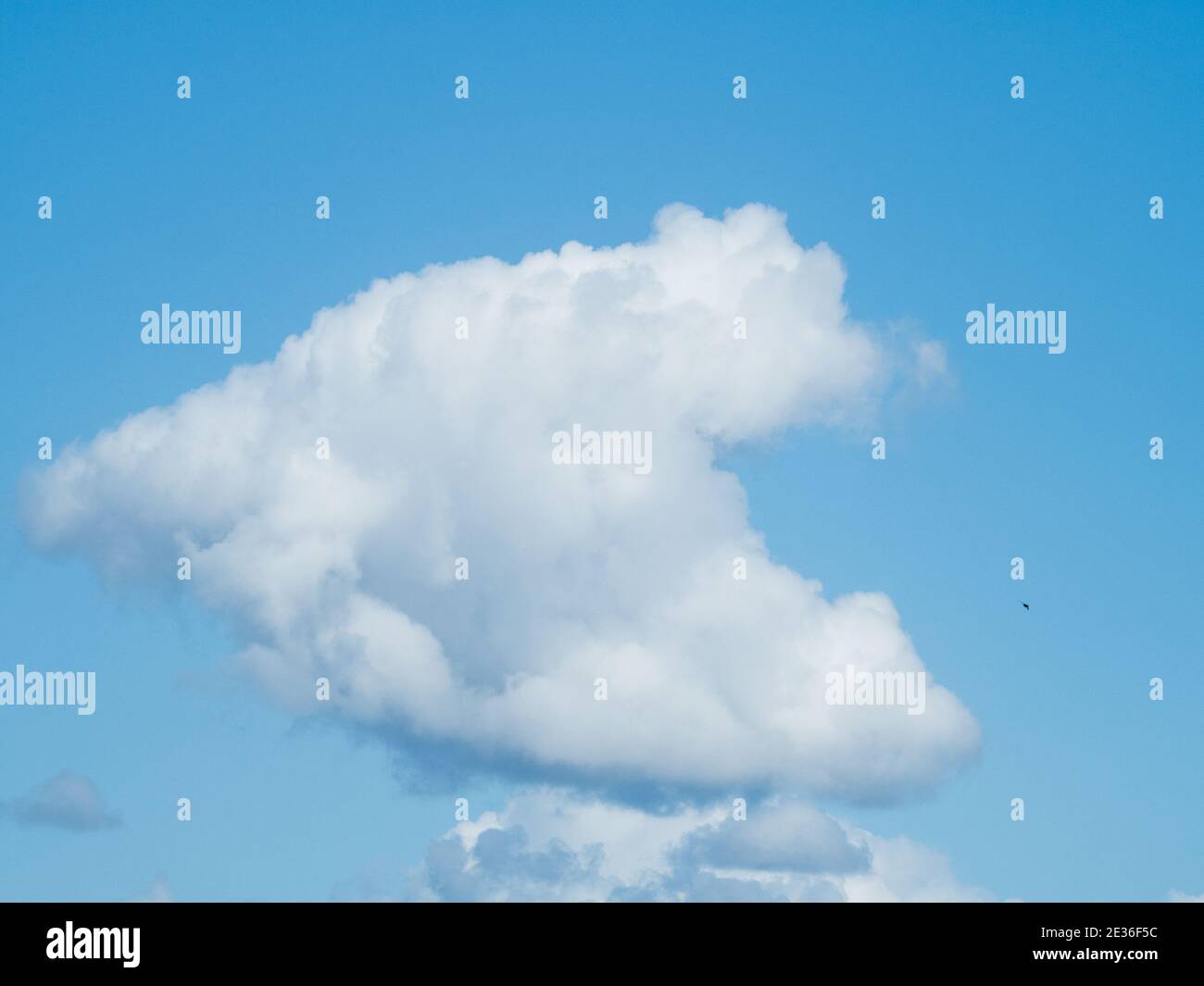 Funny Clouds High Resolution Stock Photography and Images - Alamy