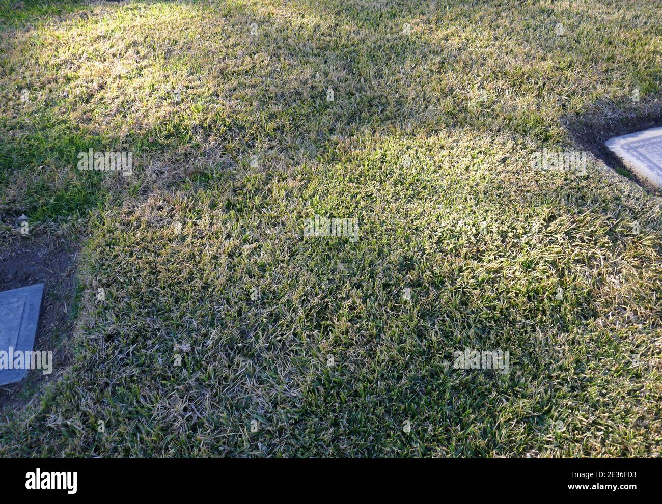 North Hollywood, California, USA 15th January 2021 A general view of ...
