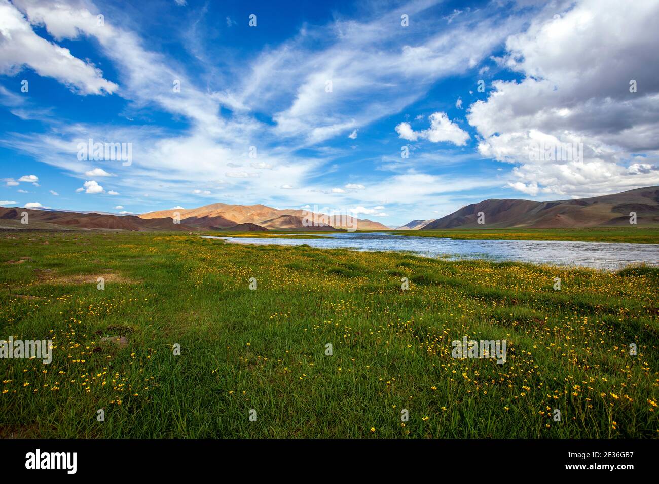 Wild life of Mongolian countryside Stock Photo - Alamy