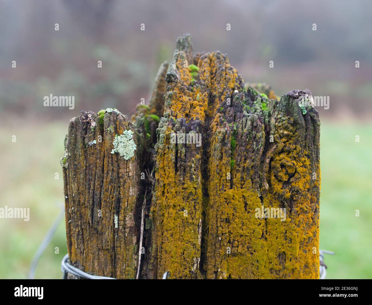 Old weathered wooden fence hi-res stock photography and images - Alamy