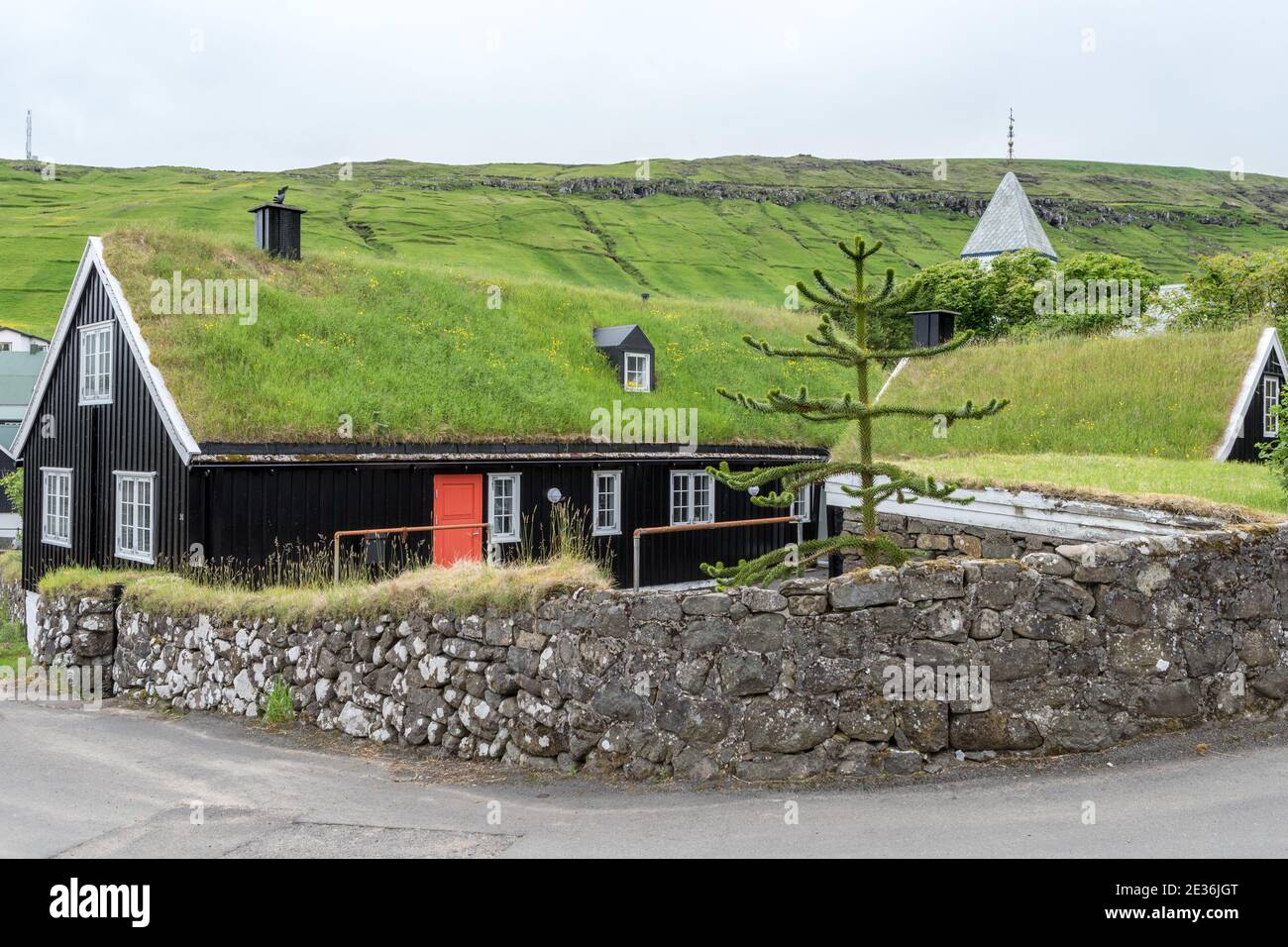 Viking Longhouses, grass roof, with church spire in distance, Kvivik ...