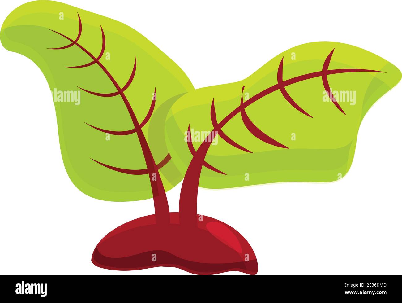 Beetroot waste icon. Cartoon of beetroot waste vector icon for web ...