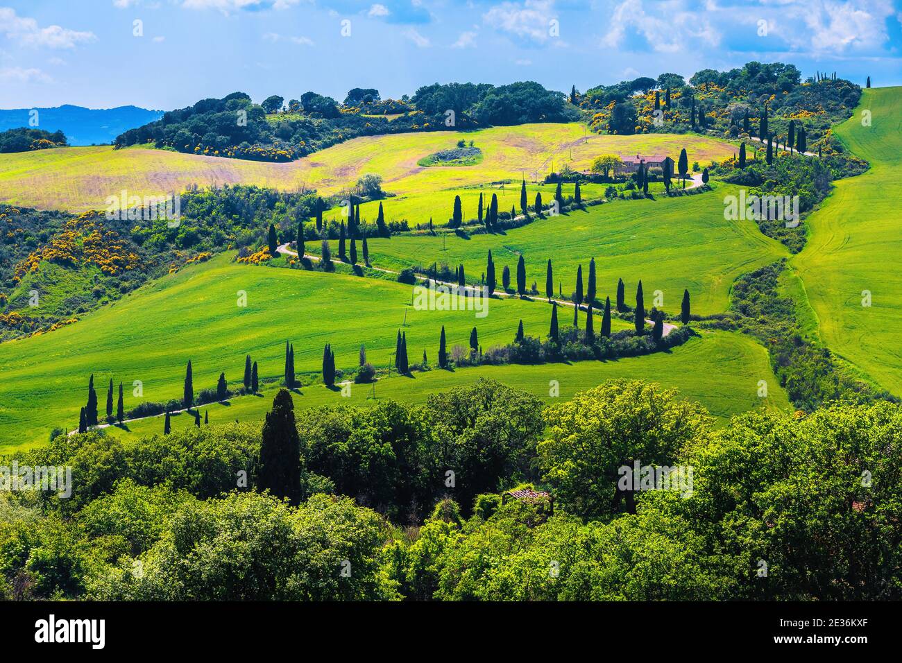 Typical tuscan curved road hi-res stock photography and images - Alamy