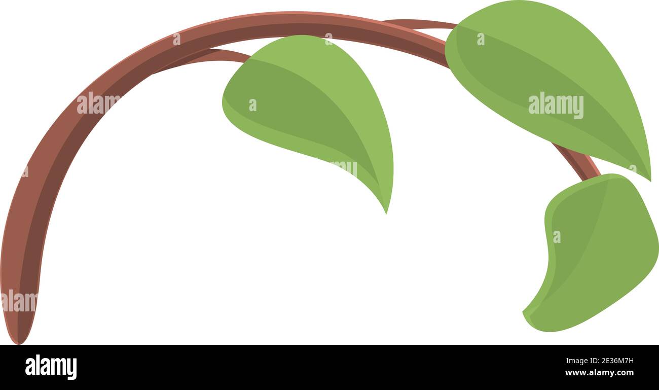 Branch leaf icon. Cartoon of branch leaf vector icon for web design ...
