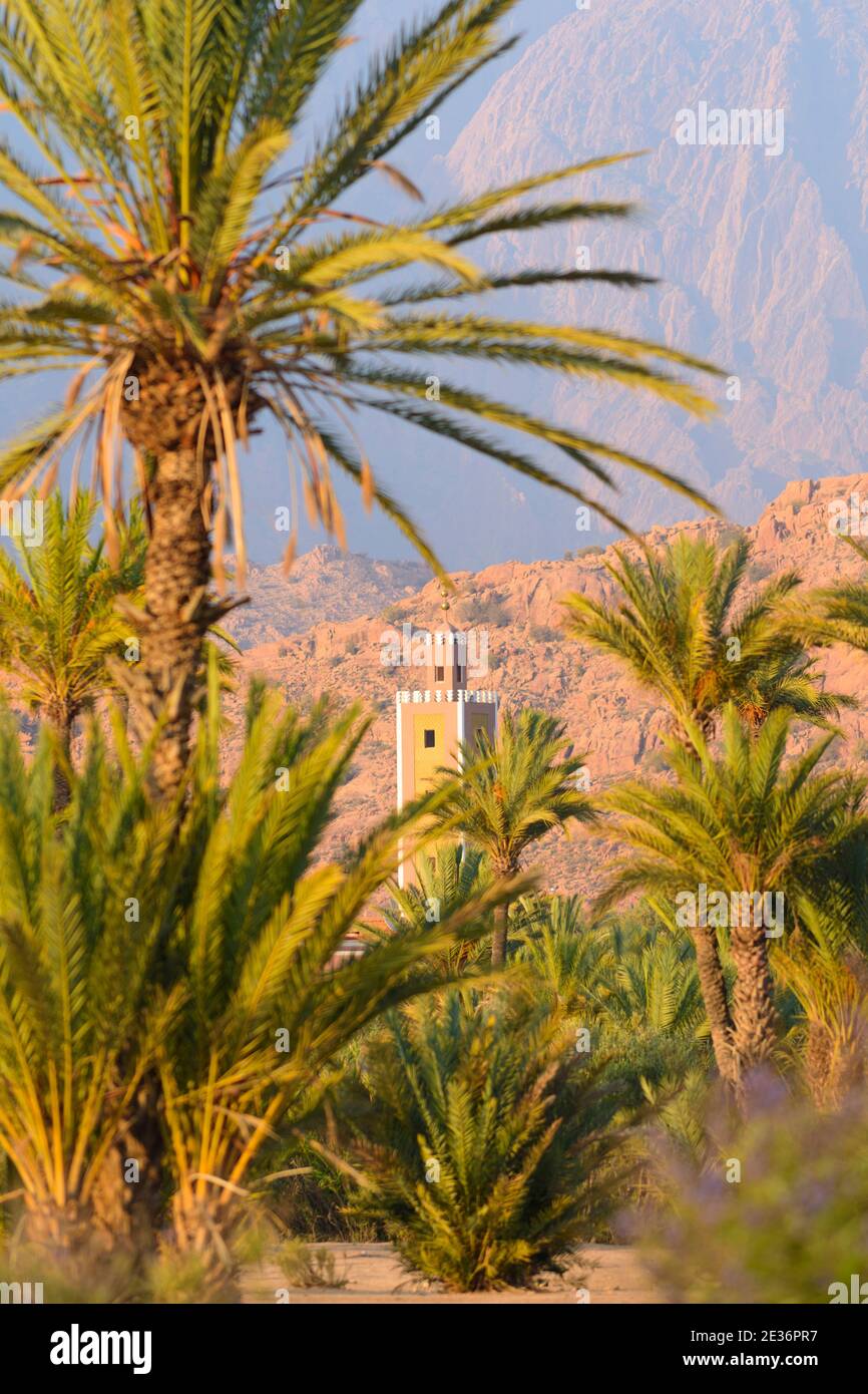 Top of a typical Moroccan minaret seen between the palm trees of a palm ...