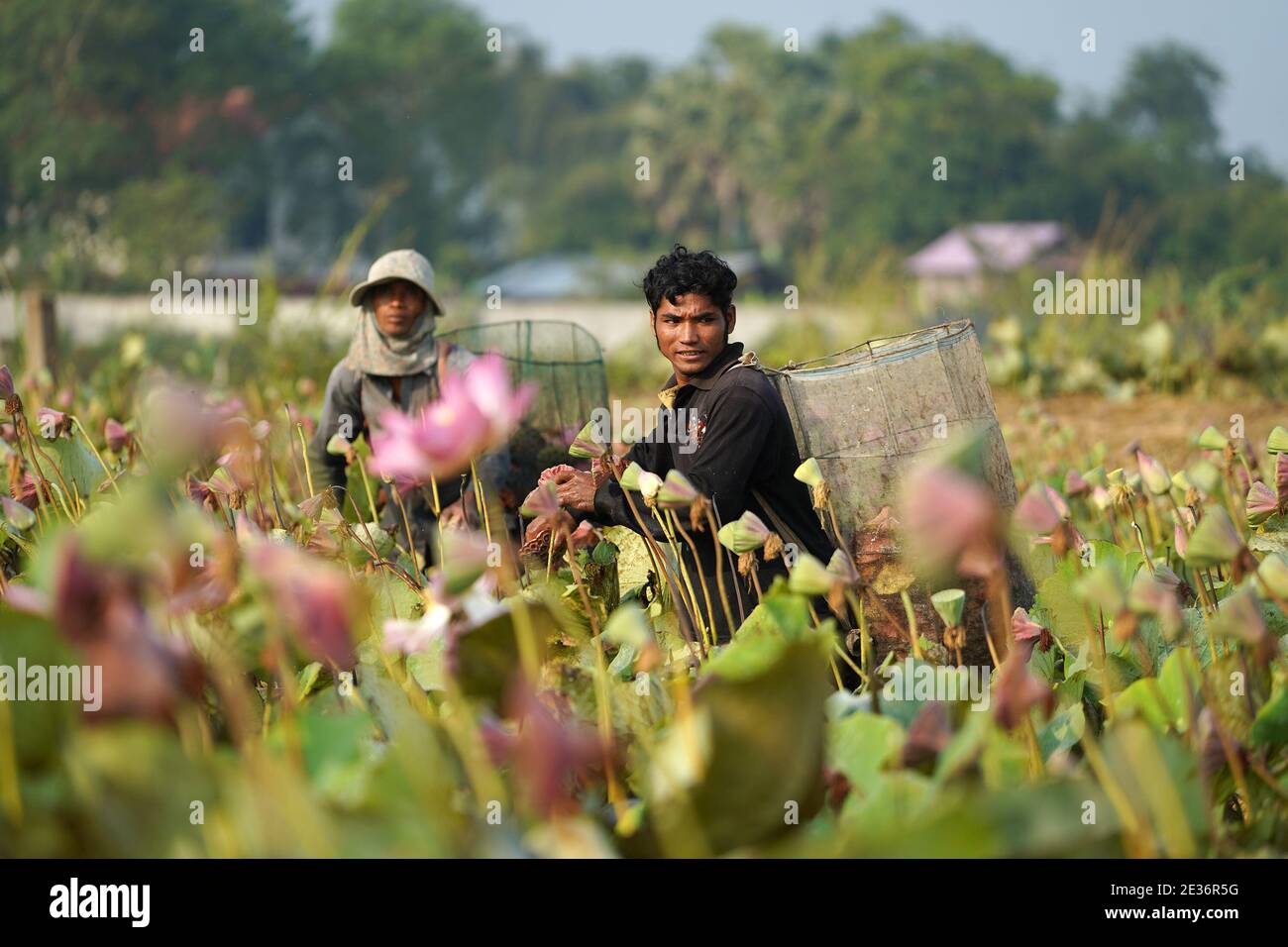 Em 2021 hi-res stock photography and images - Alamy