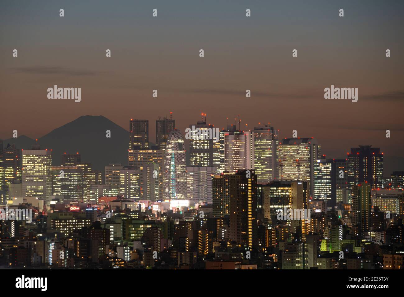 Mount fuji tokyo lights hi-res stock photography and images - Alamy