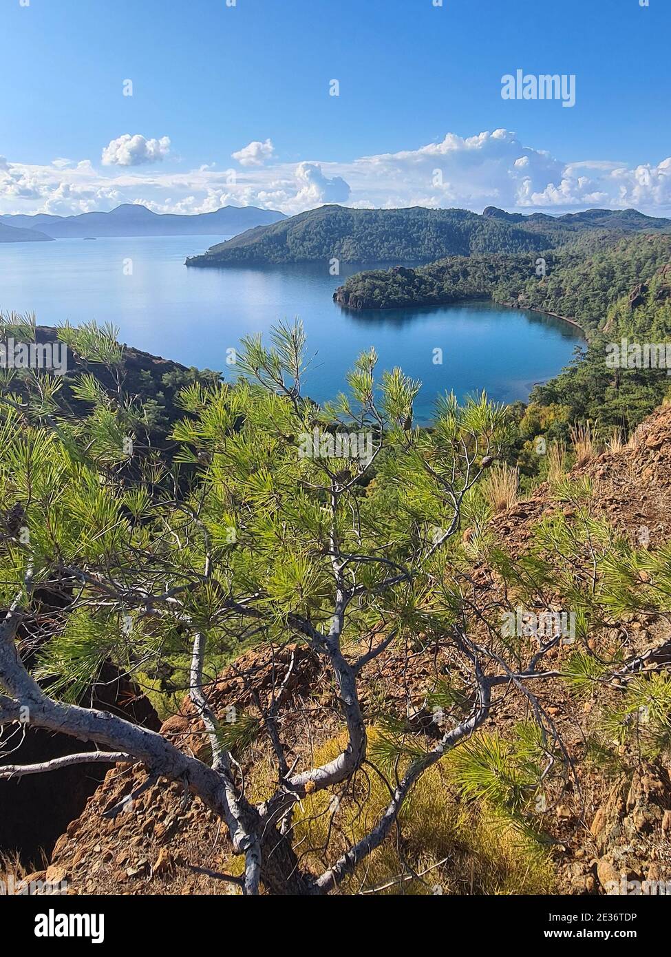 Seascape surrounded by green forests. Datca Peninsula in Turkey Stock ...