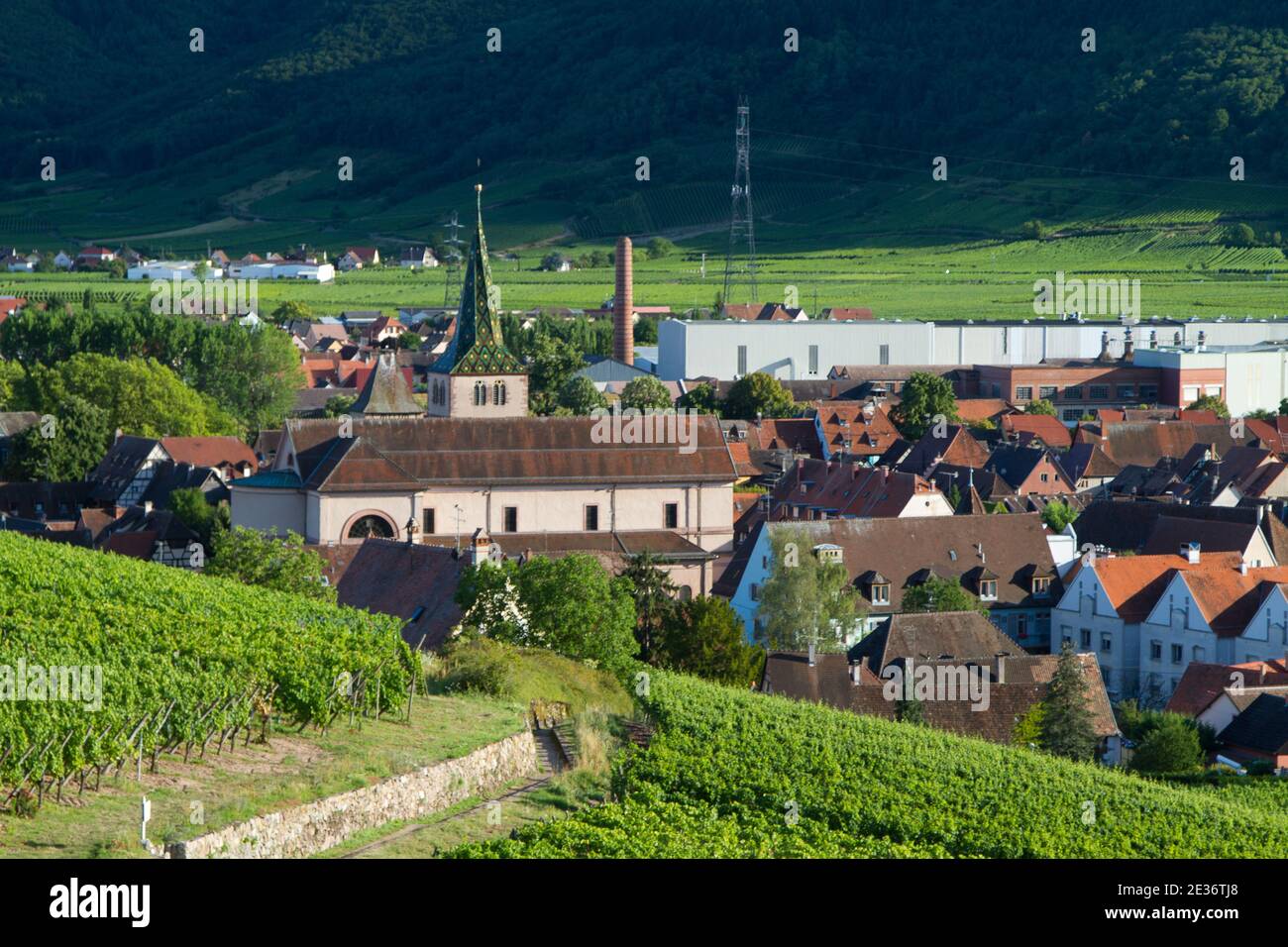 Alsacian hi-res stock photography and images - Alamy