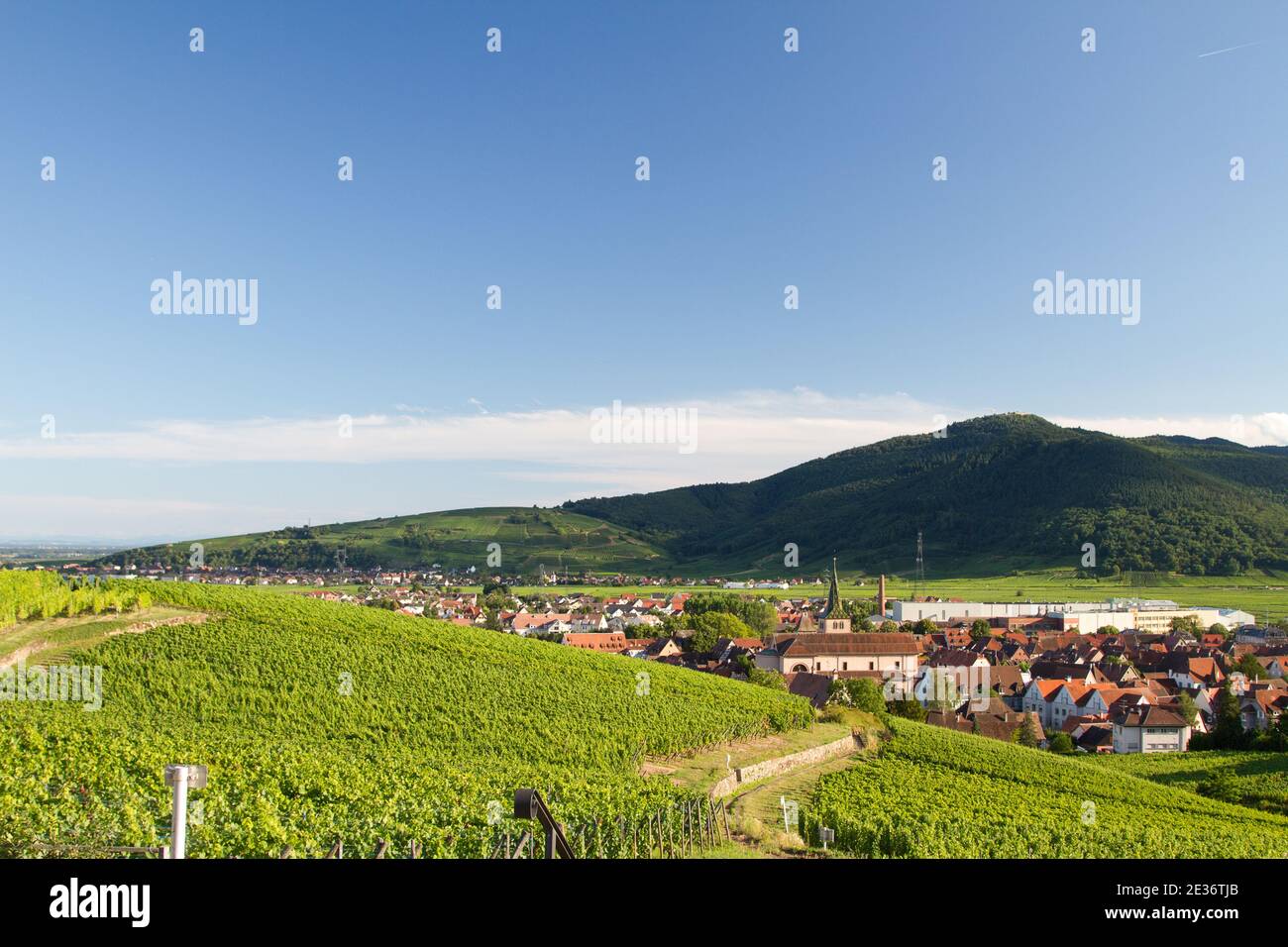 Alsacian hi-res stock photography and images - Alamy