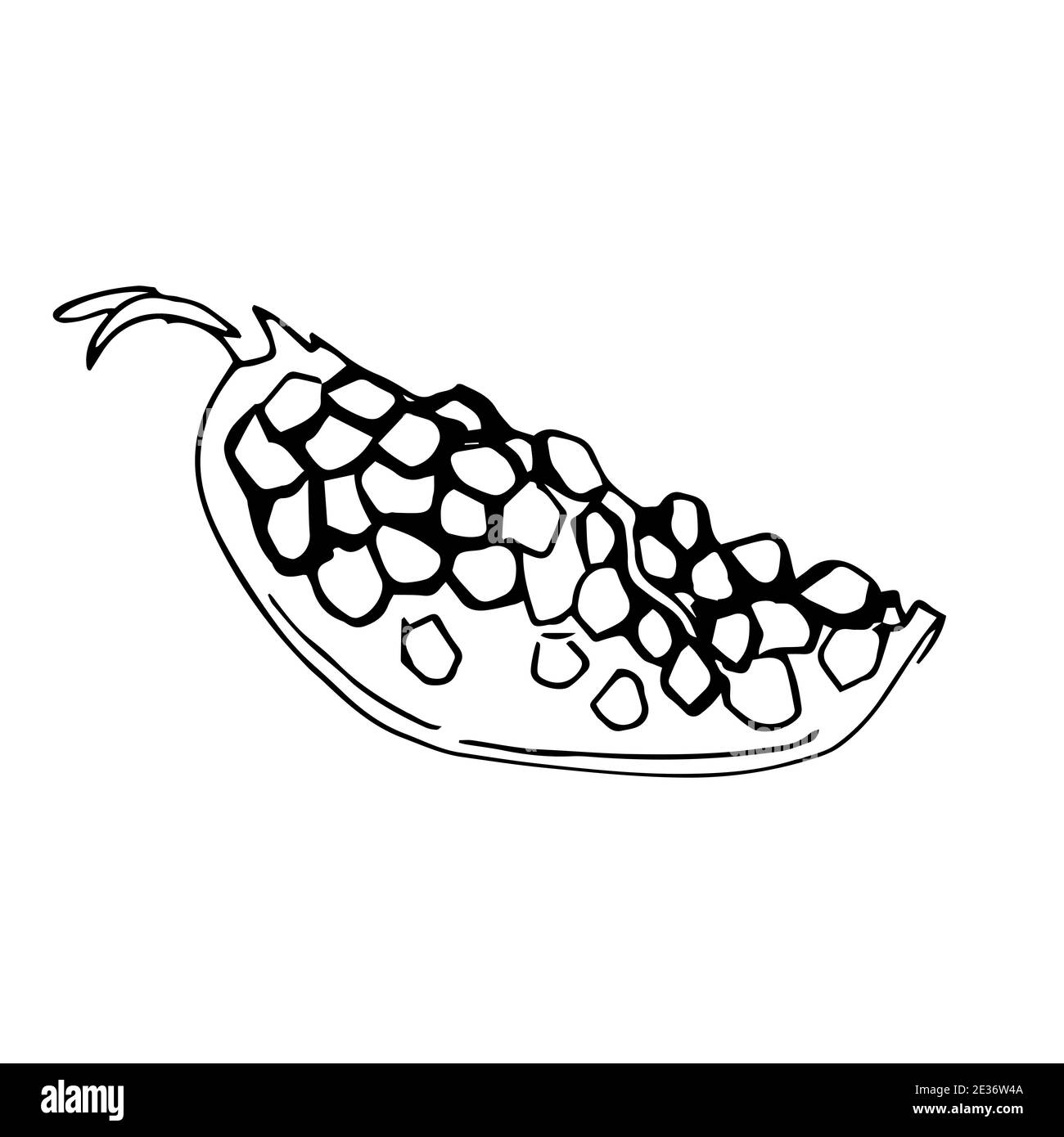 Pomegranate Line Drawing