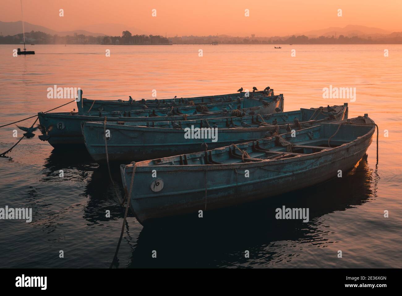 Fateh Sagar Lake Boating - Cronoset
