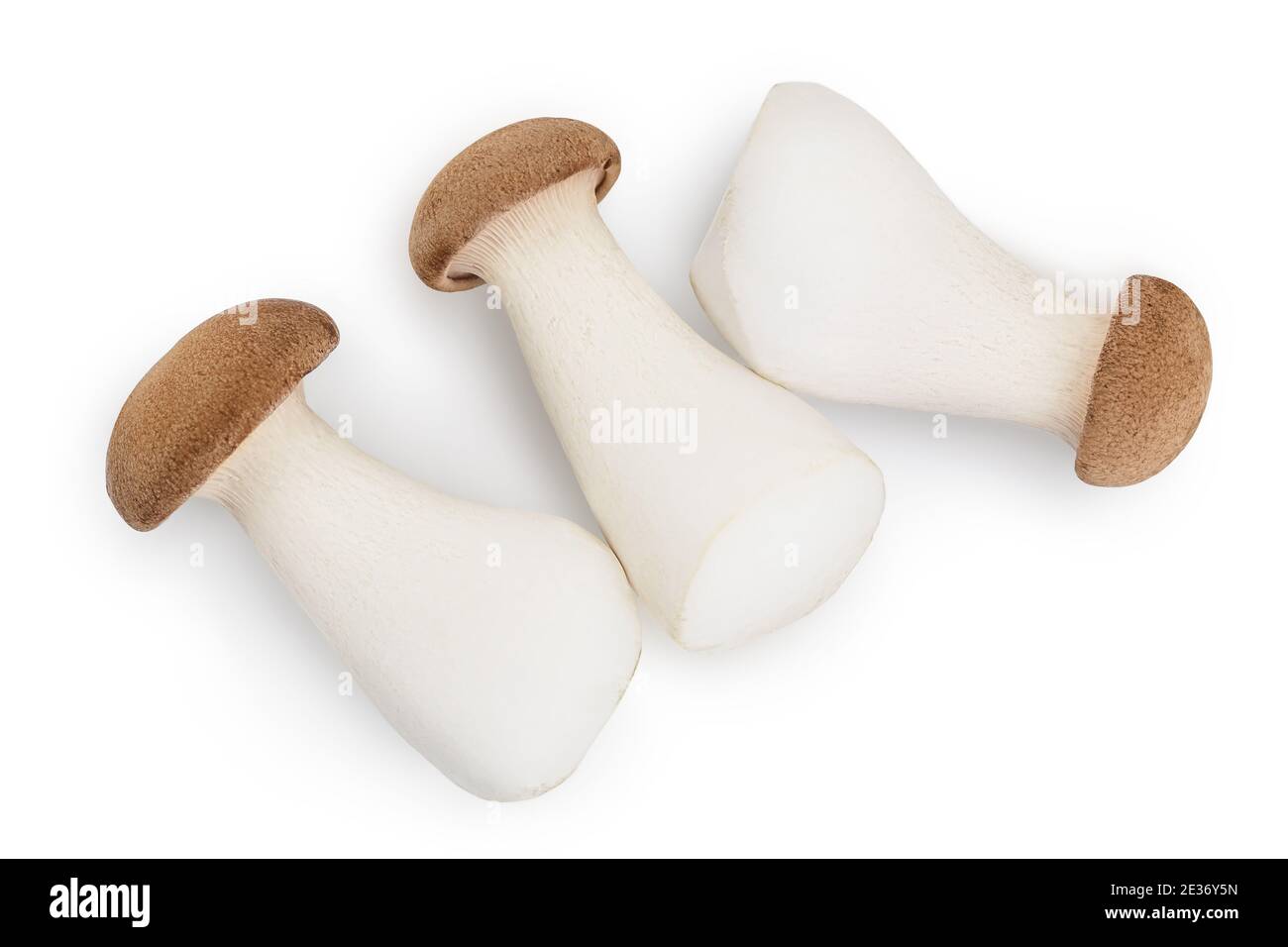 King Oyster mushroom or Eringi isolated on white background with ...