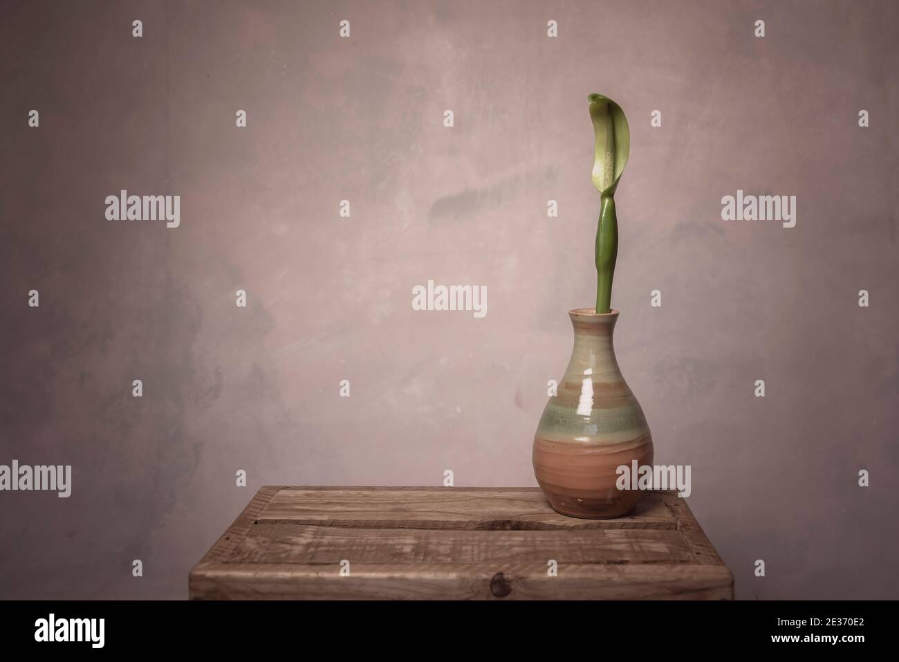 Simple flower image hi-res stock photography and images - Alamy