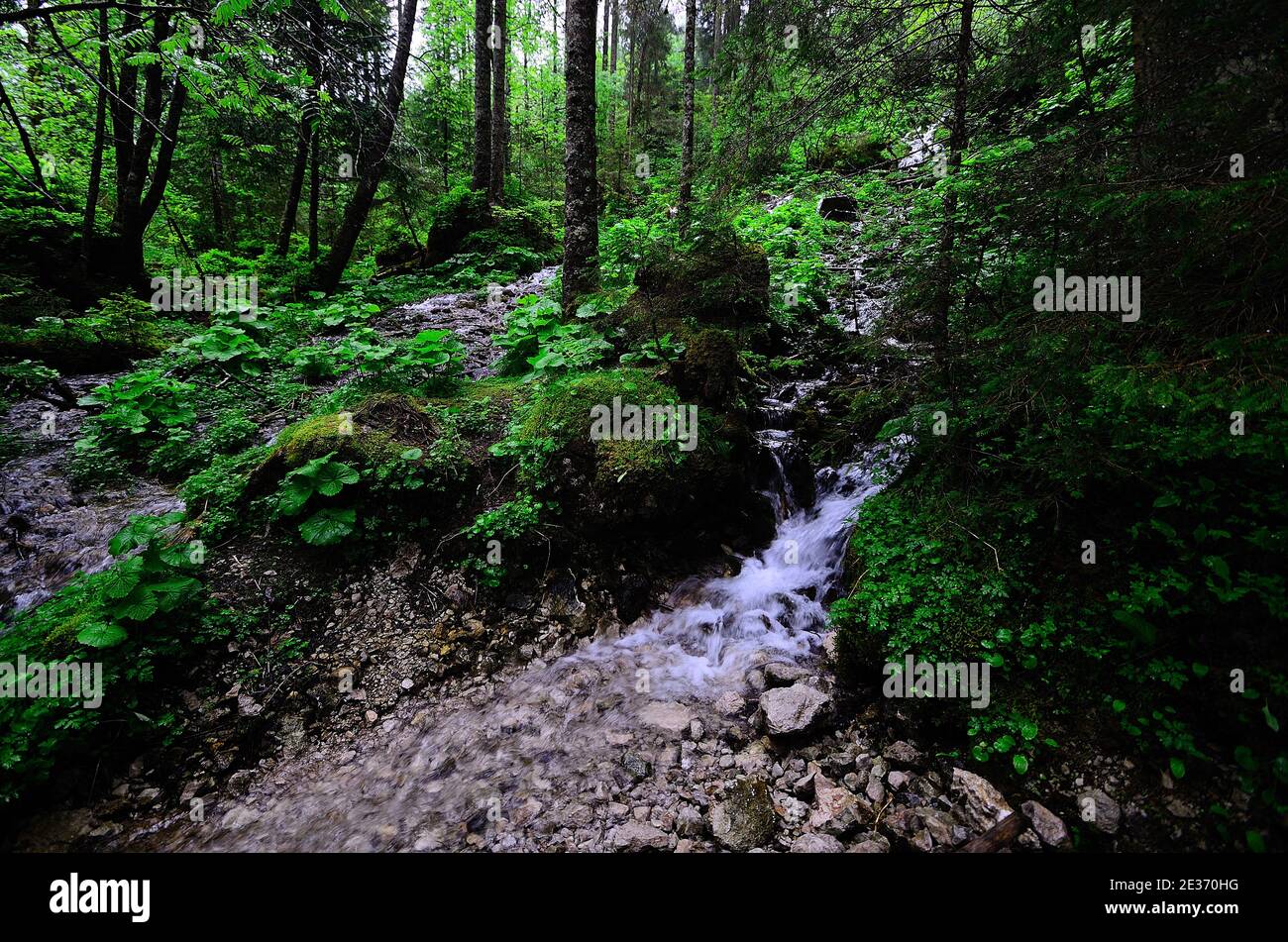 Water trickles hi-res stock photography and images - Alamy