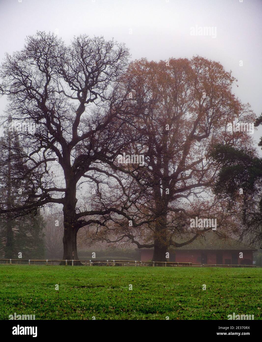 London harrow hi-res stock photography and images - Alamy