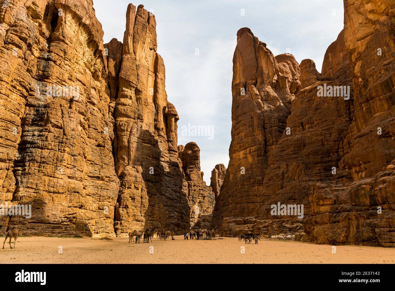 Camels, bizarre rocks, Ouinimia amphitheater, Unesco world heritage ...