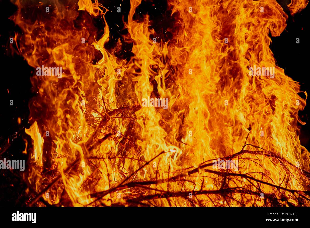 Fire tree hi-res stock photography and images - Alamy