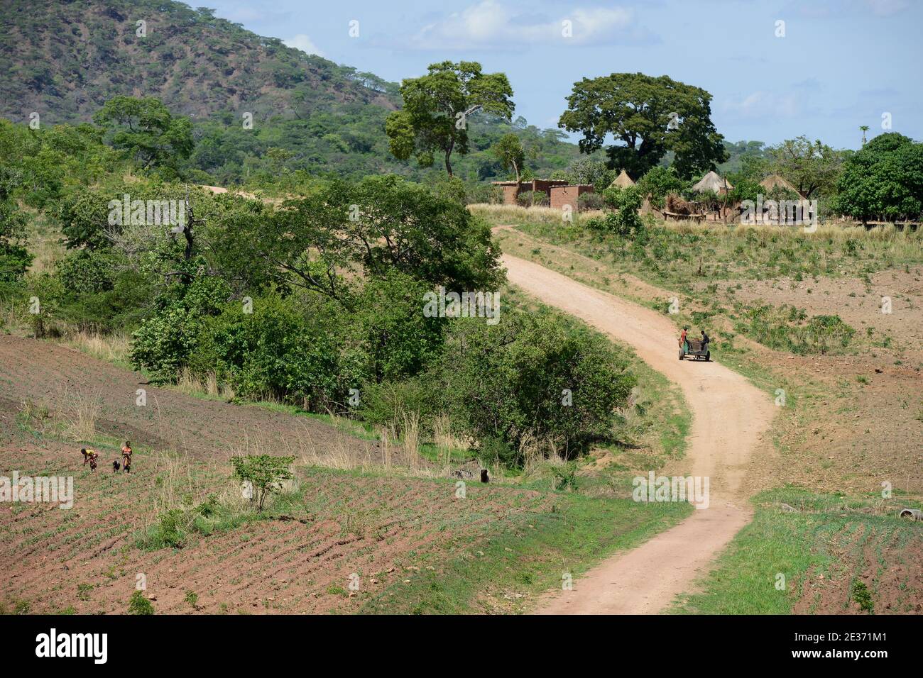 ZAMBIA, Sinazongwe, Tonga tribe, village Muziyo, farming in mountain ...