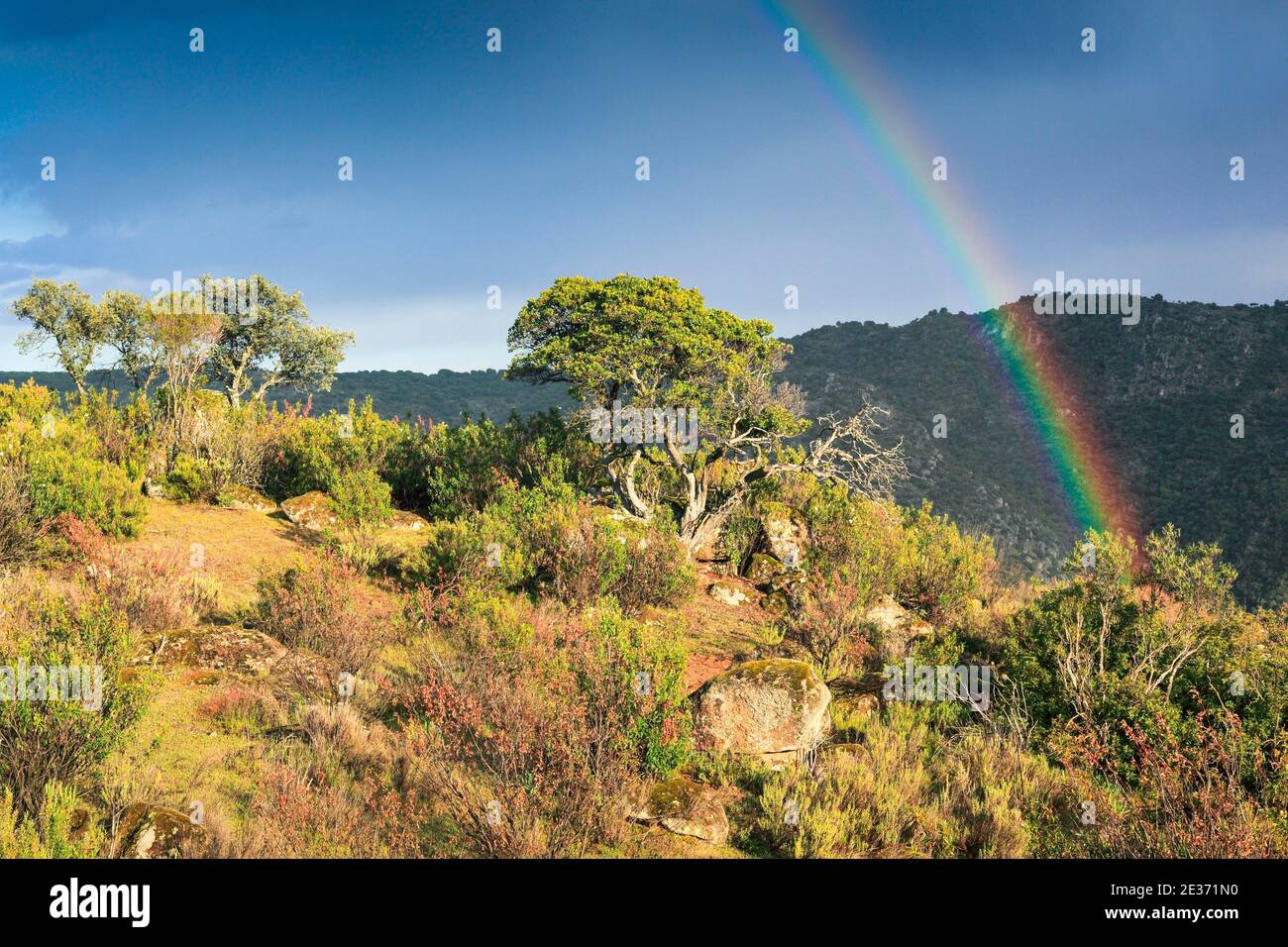Typical landscape in the Sierra de Andujar National Park, Jaen Province ...