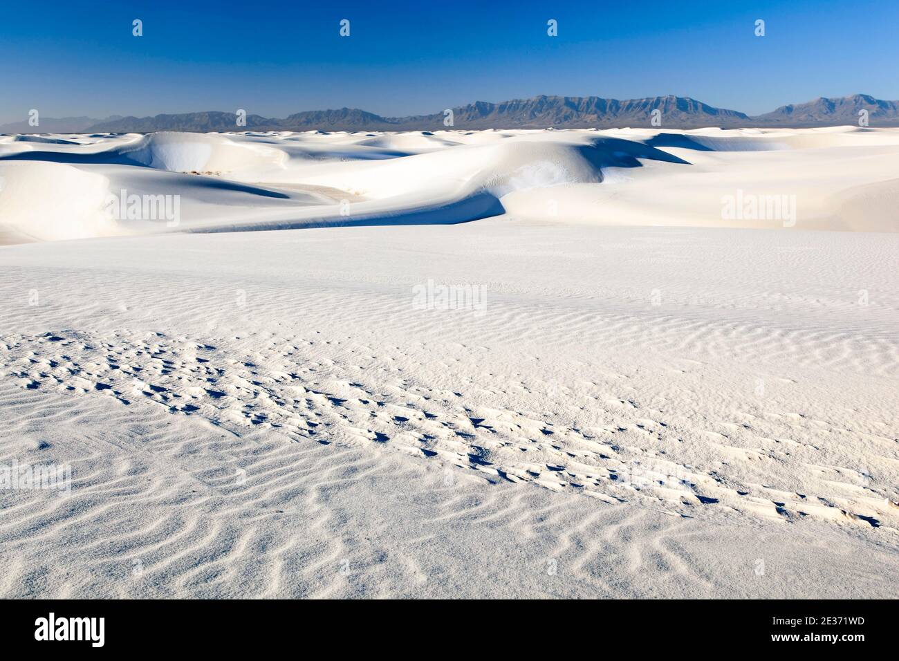Gypsum Sand Dunes, White Sands National Monument, New Mexico, USA Stock ...