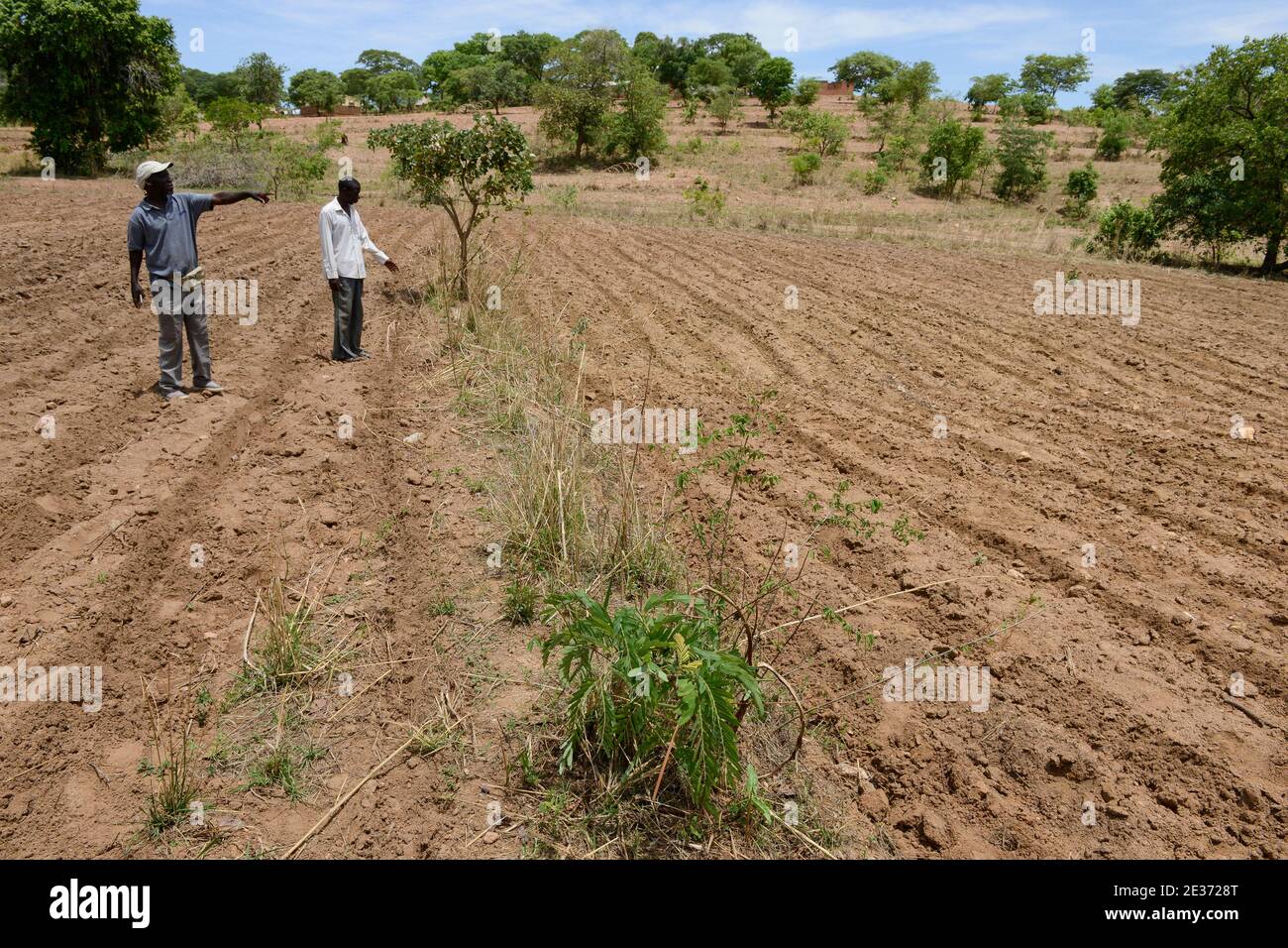 ZAMBIA, Sinazongwe, contour farming, farming in hilly area, plowing ...