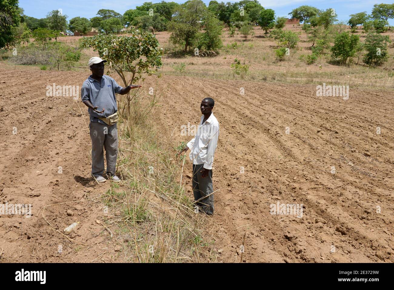 Contour Ploughing High Resolution Stock Photography and Images - Alamy