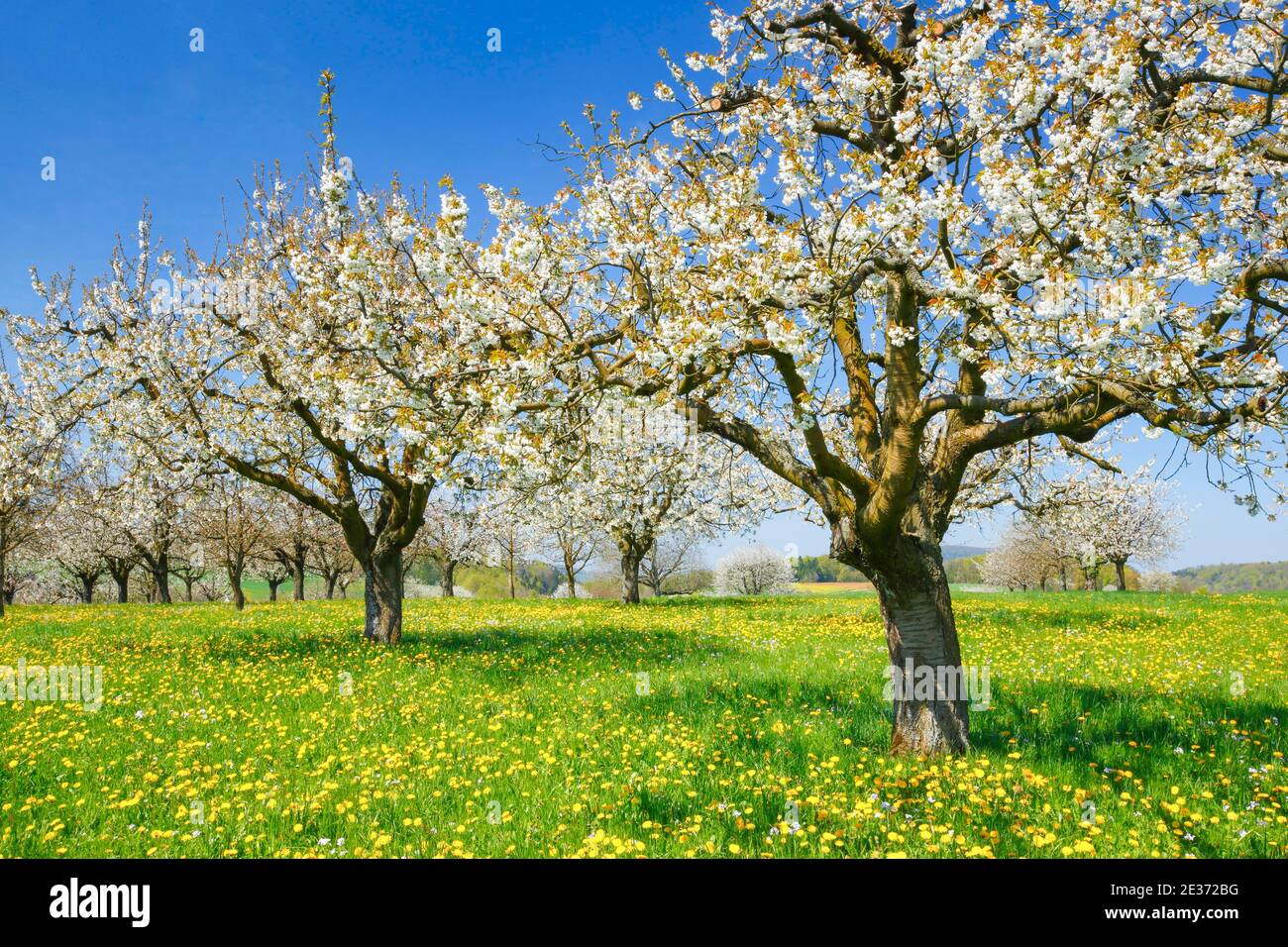 Spring basel hi-res stock photography and images - Alamy