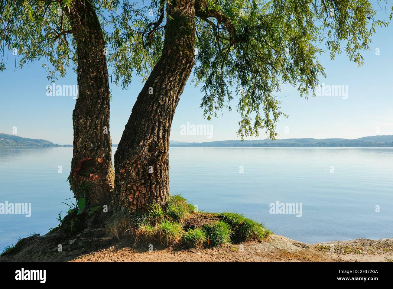 Lake Murten, Vaud, Switzerland Stock Photo - Alamy