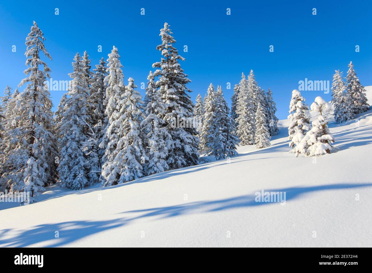 Swiss alps alpine hi-res stock photography and images - Alamy