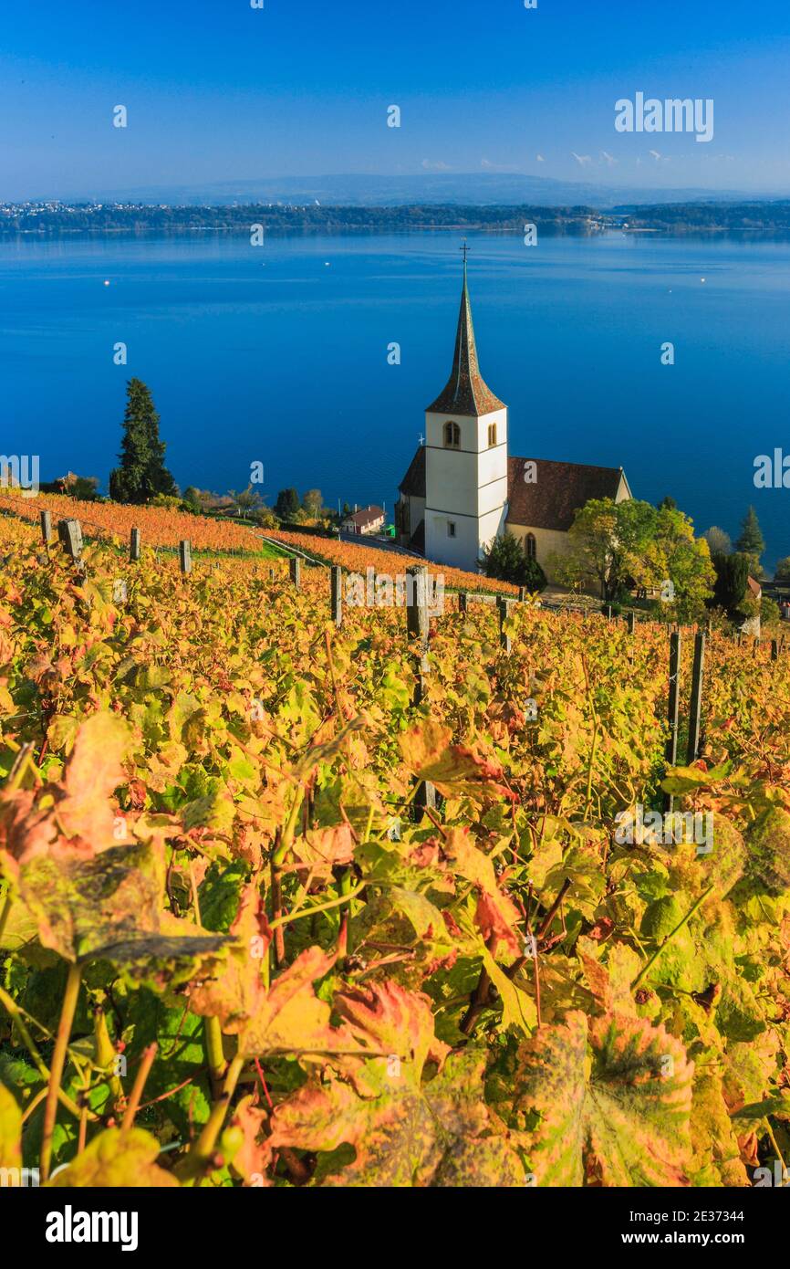 Ligerz on Lake Biel, Bern, Switzerland Stock Photo - Alamy