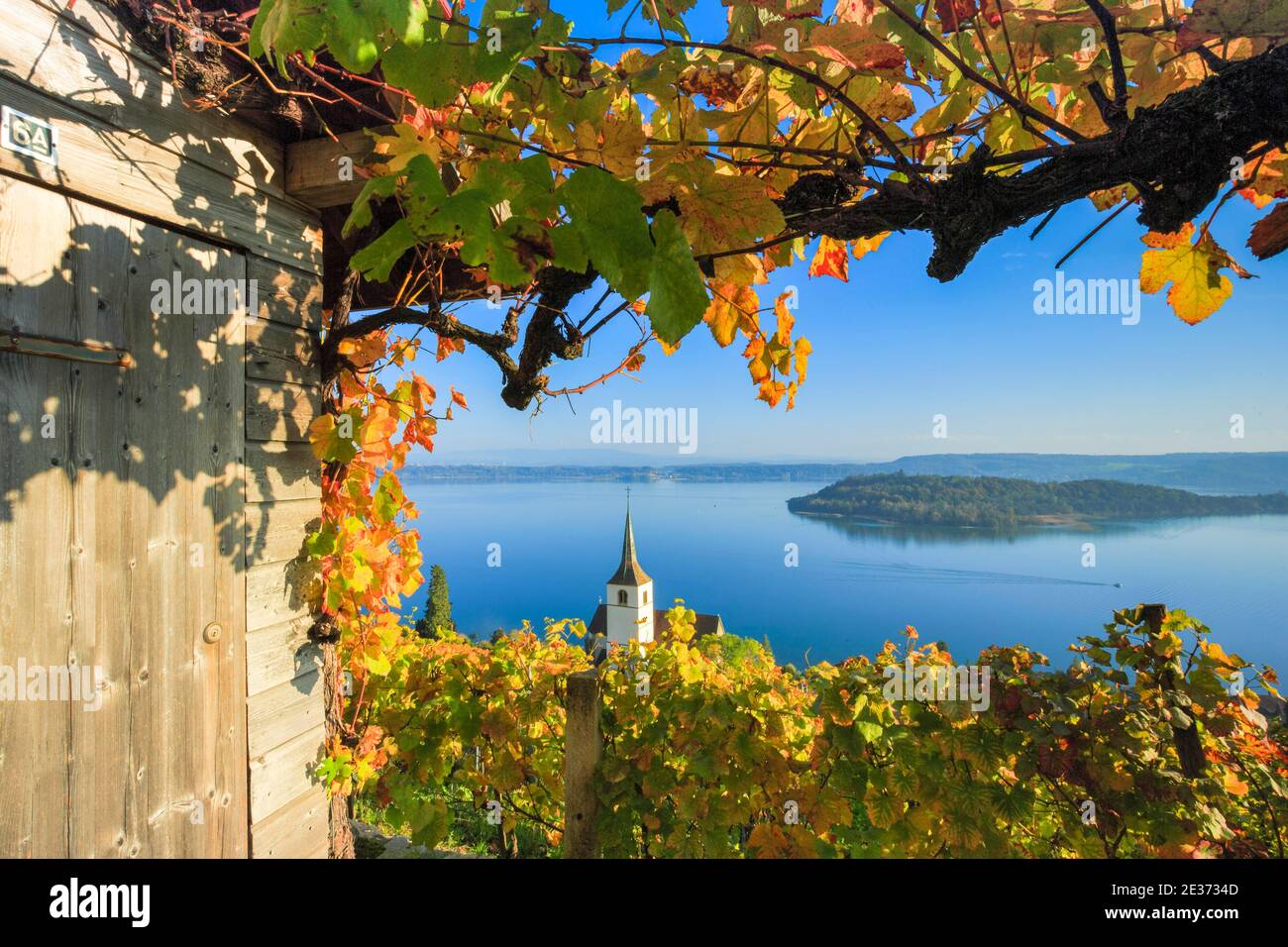 Vineyards near Ligerz on Lake Biel, Bern, Switzerland Stock Photo - Alamy