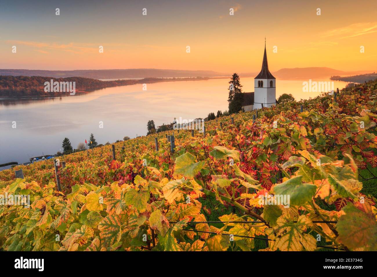 Ligerz on Lake Biel, Bern, Switzerland Stock Photo - Alamy