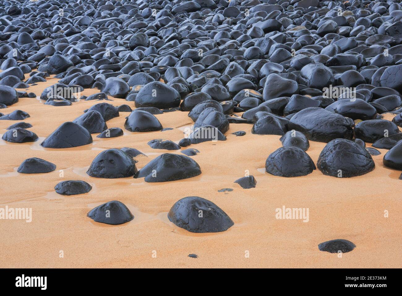 Stony beach in Northumberland, Great Britain Stock Photo - Alamy