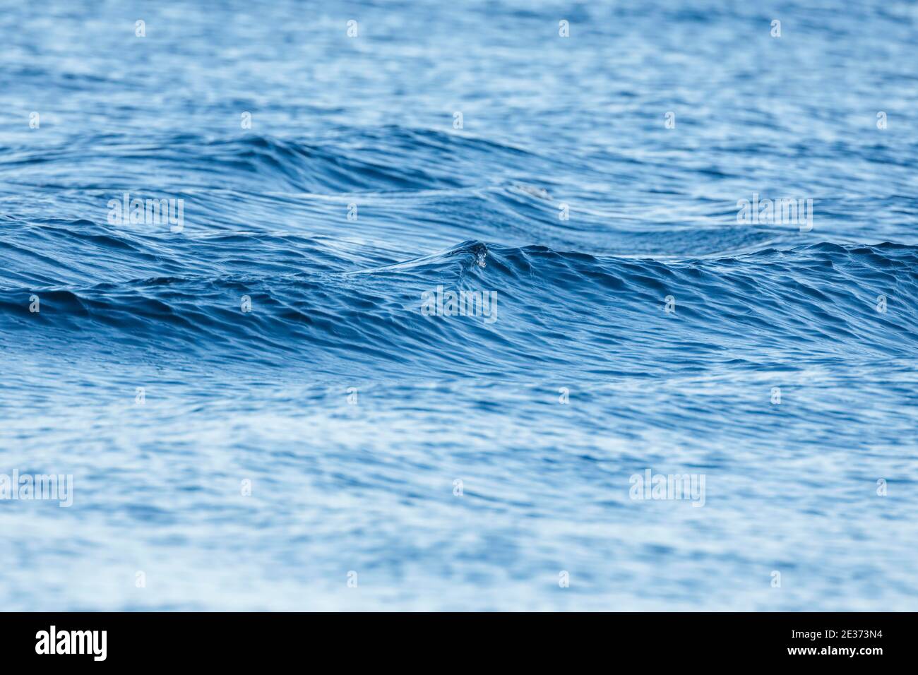 Swell up hi-res stock photography and images - Alamy