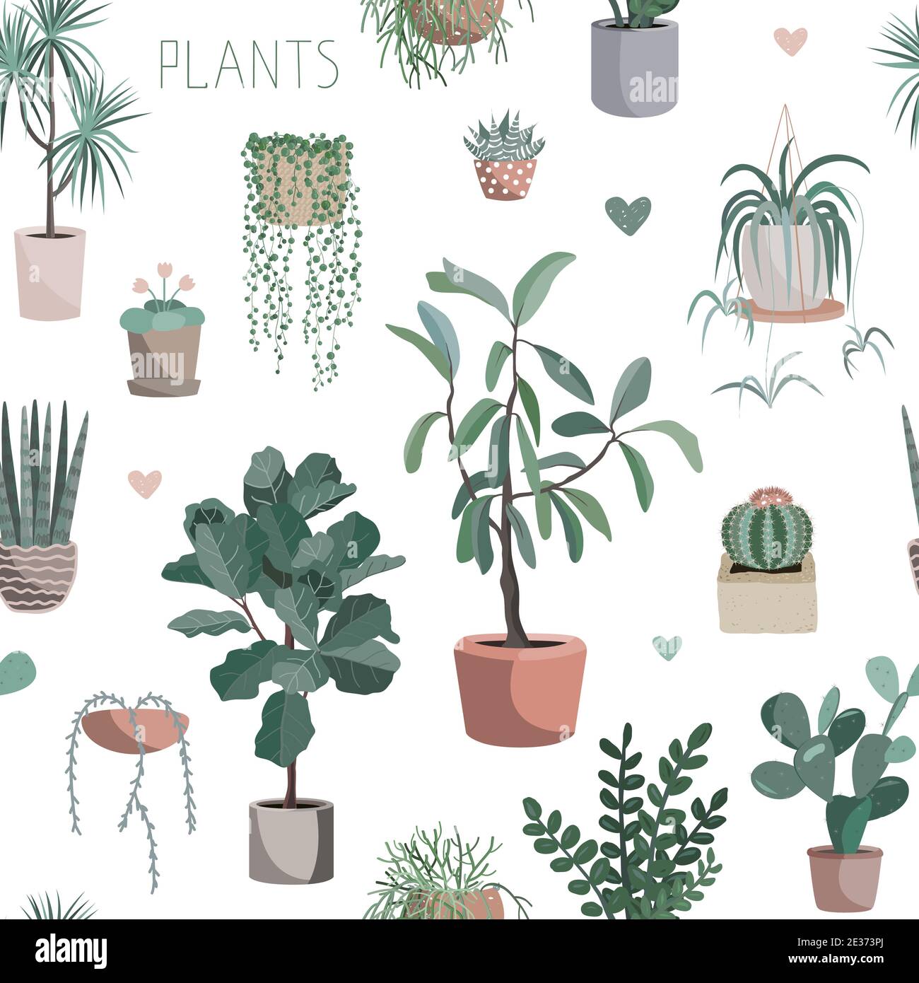 Cute Houseplants Background House Indoor Plant Vector Cartoon Doodle