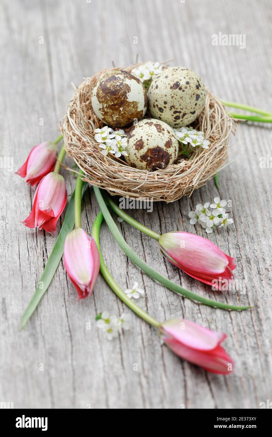 Decoration board hi-res stock photography and images - Alamy