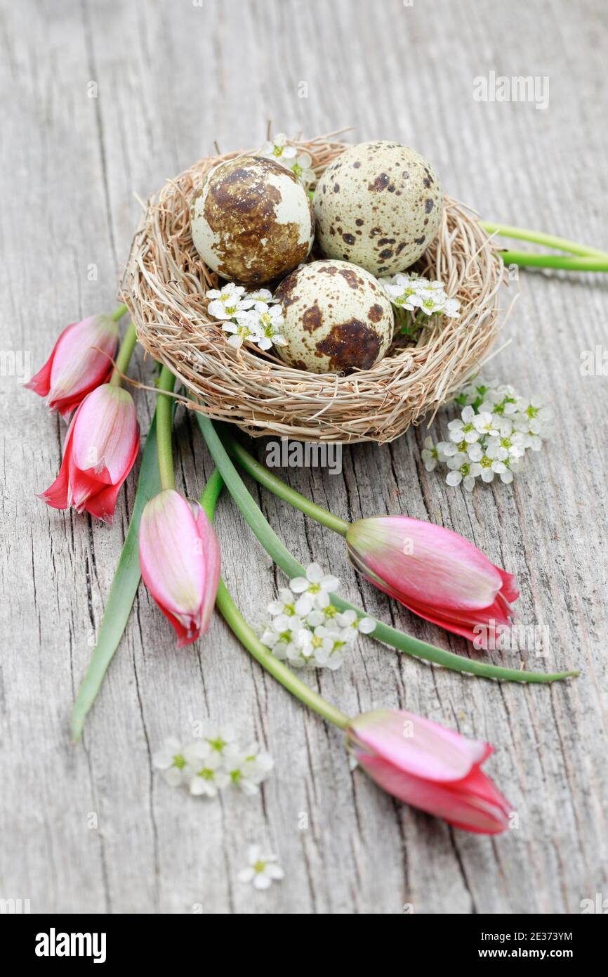 Easter decoration hi-res stock photography and images - Alamy