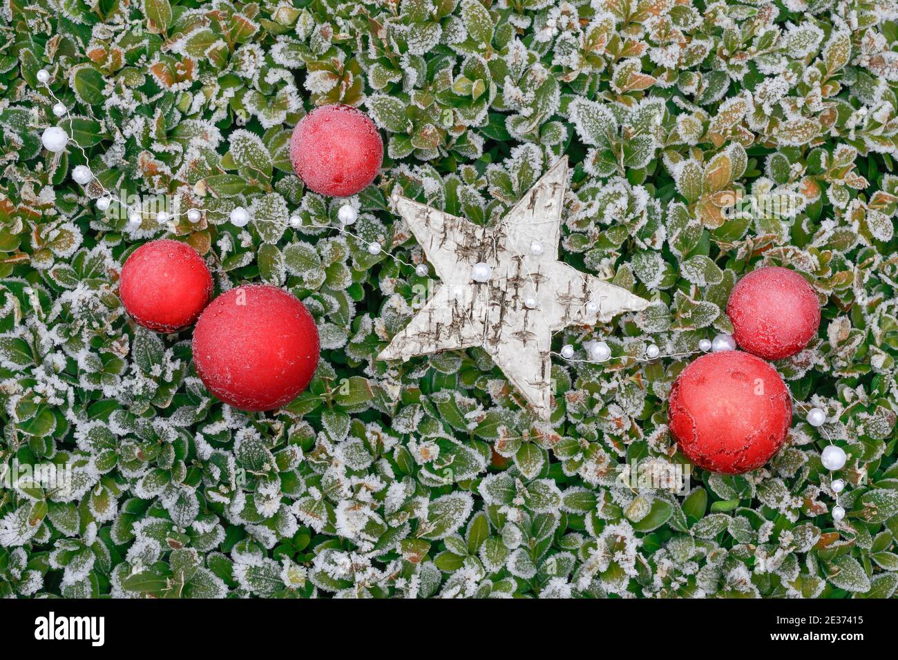 Natural outdoor Christmas decoration Stock Photo - Alamy