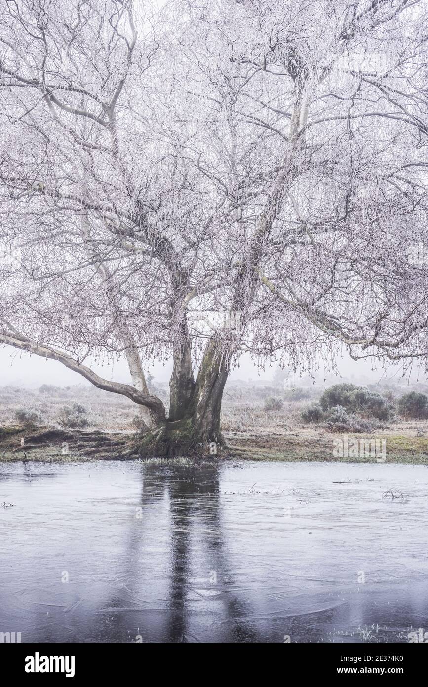 Healing reflections hi-res stock photography and images - Alamy