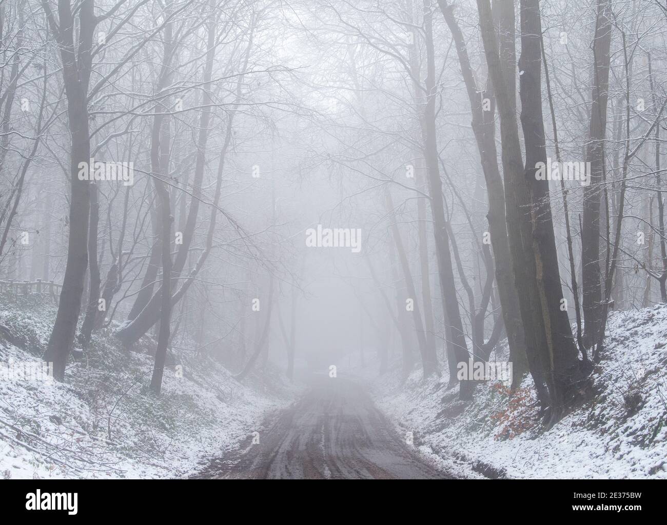 A wintery morning of snow and mist at Gravelly Hollow, Calverton ...