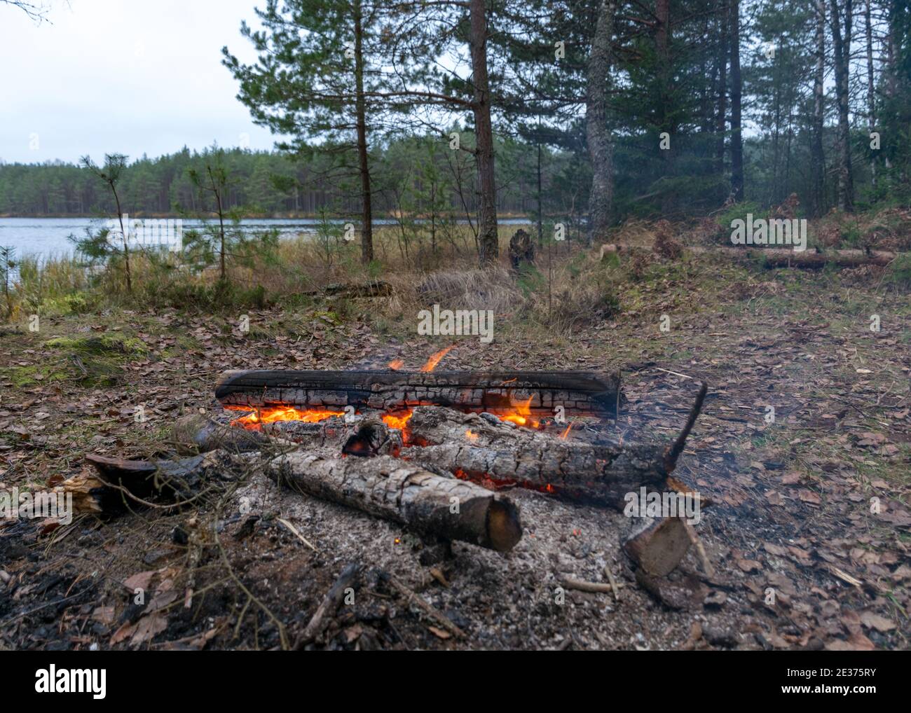 landscape with a burning campfire on the lake shore, glowing wooden ...